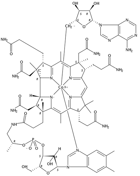 ADENOSYLCOBALAMINE(COENZYME B12) (AS) - 1g | ChromaDex
